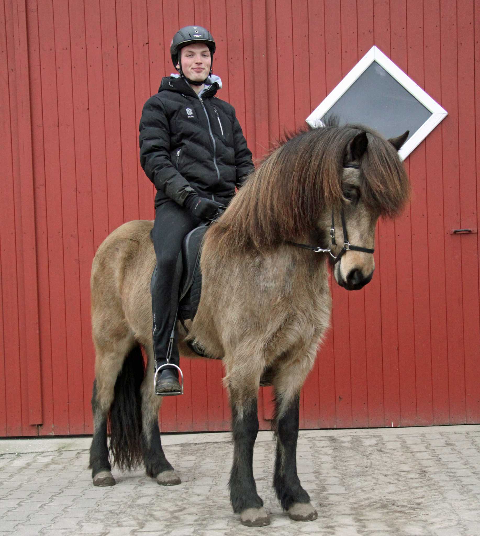 Unser neuer Bereiter: Steinar Clausen Kolnes – Islandpferdegestüt Kronshof
