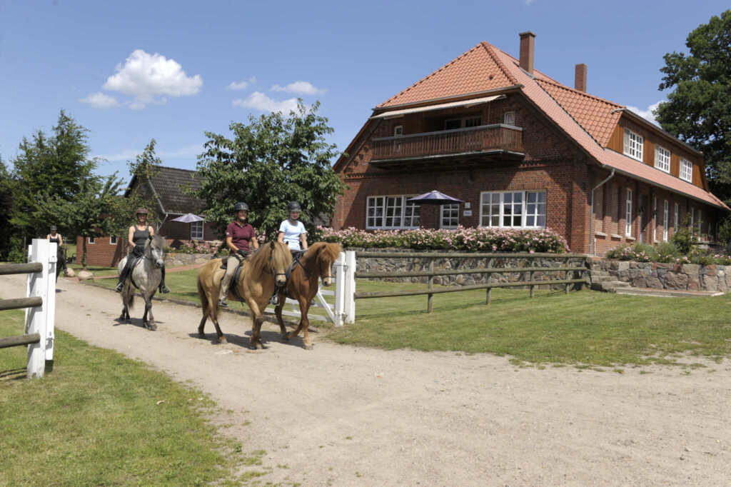 Herbstferien auf dem Kronshof – Islandpferdegestüt Kronshof Herbstferien auf dem Kronshof – Islandpferdegestüt Kronshof